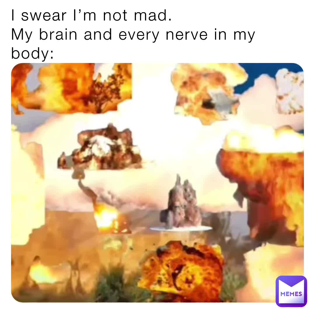 I swear I’m not mad. My brain and every nerve in my body: | @Dirtbag ...