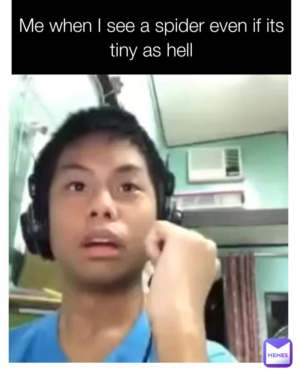 Me When I See A Spider Even If Its Tiny As Hell Itsjustthememes Memes