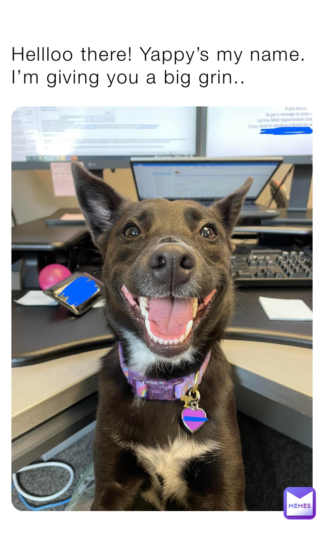 Hellloo there! Yappy’s my name. I’m giving you a big grin.. | @I.am ...