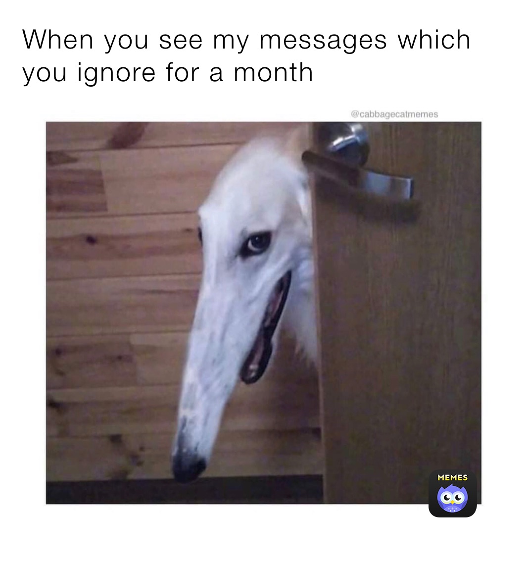 When you see my messages which you ignore for a month ...