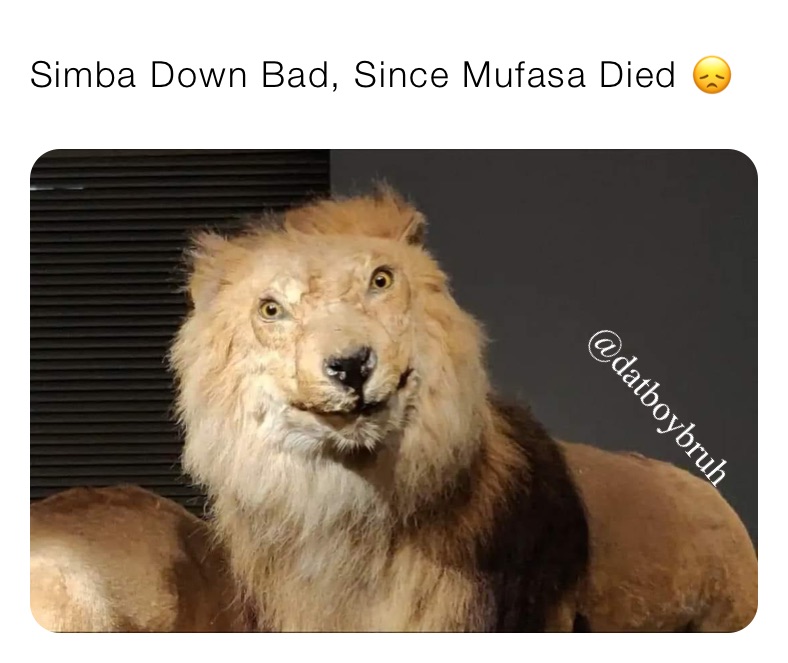 Simba Down Bad, Since Mufasa Died 😞 | @datboybruh | Memes
