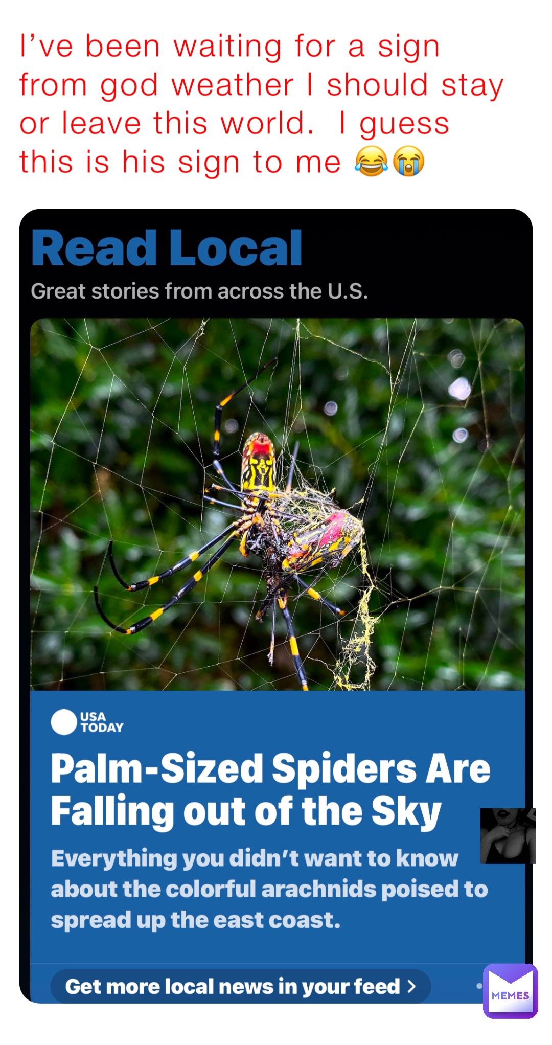 Spider Nightmare Memes