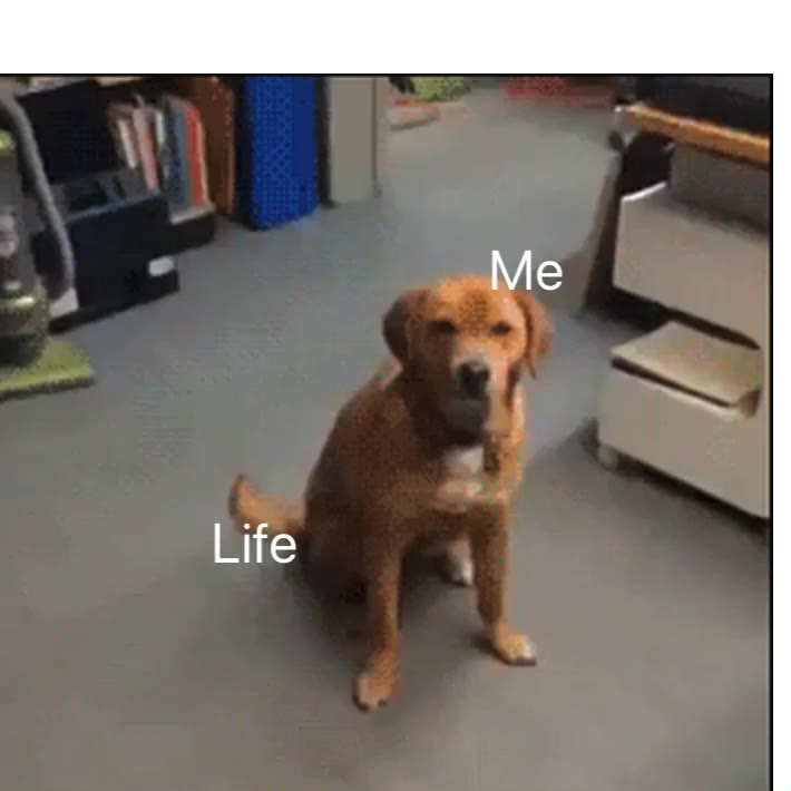 Post by @firey_paws | Memes