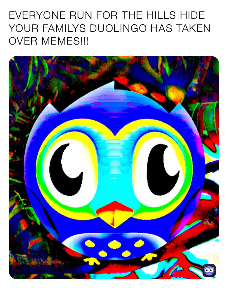 EVERYONE RUN FOR THE HILLS HIDE YOUR FAMILYS DUOLINGO HAS TAKEN OVER ...