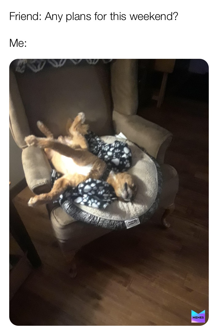 Post by @xx_meme_for_fun_xx | Memes