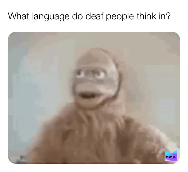 Post by @killer_slushy | Memes