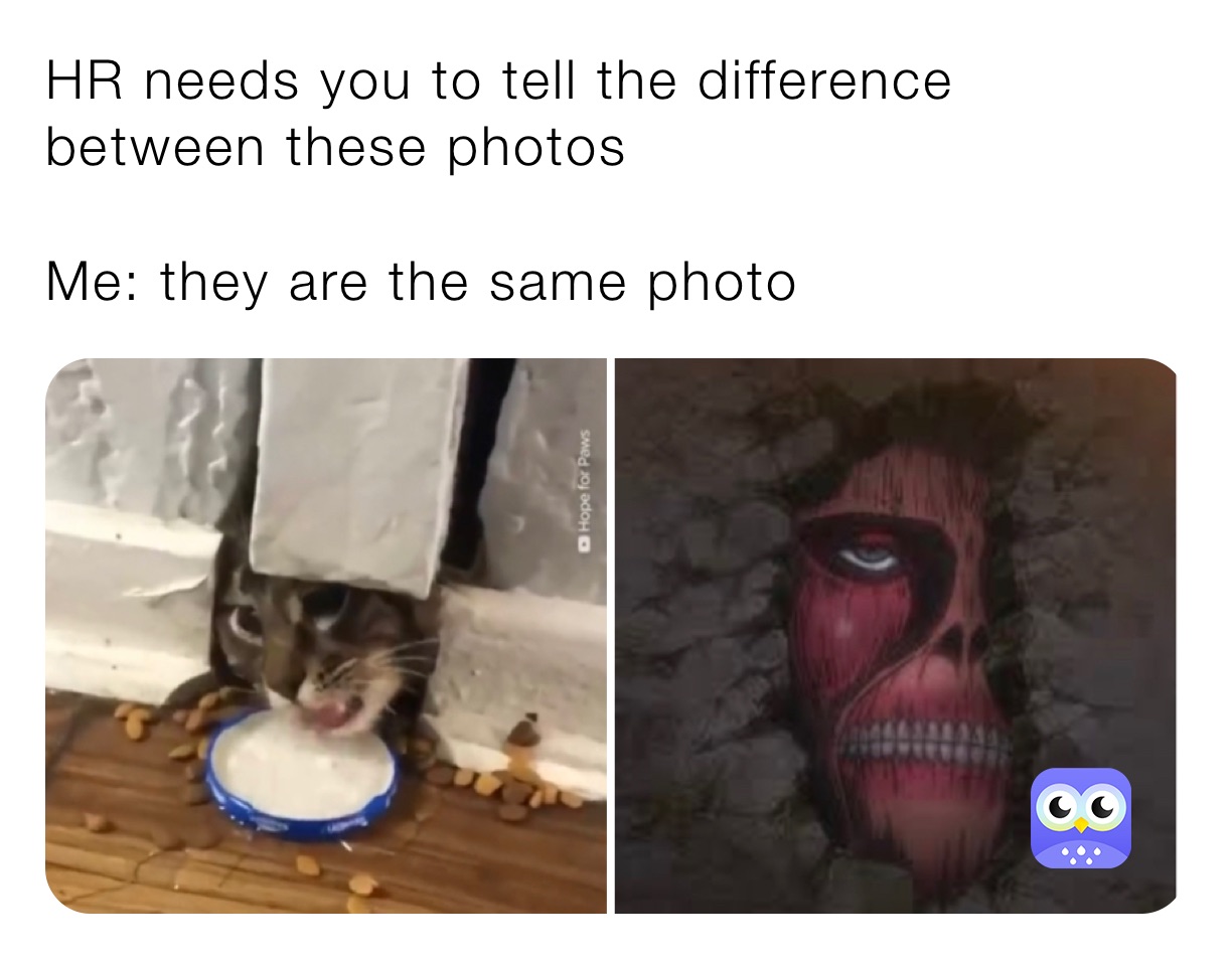 HR needs you to tell the difference between these photos Me: they are ...