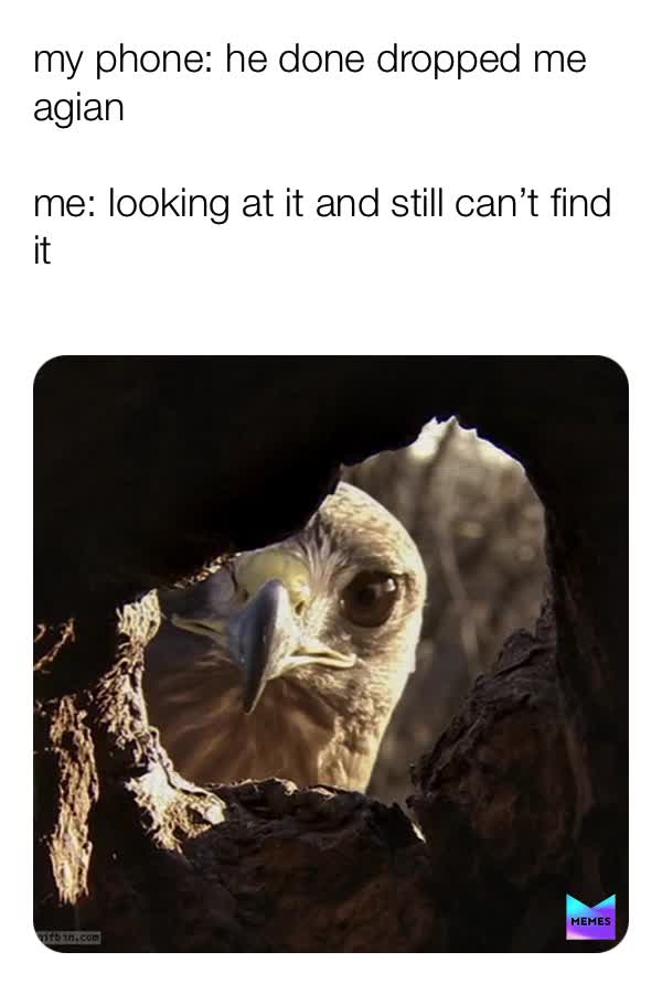 Post by @meme_master_45 | Memes