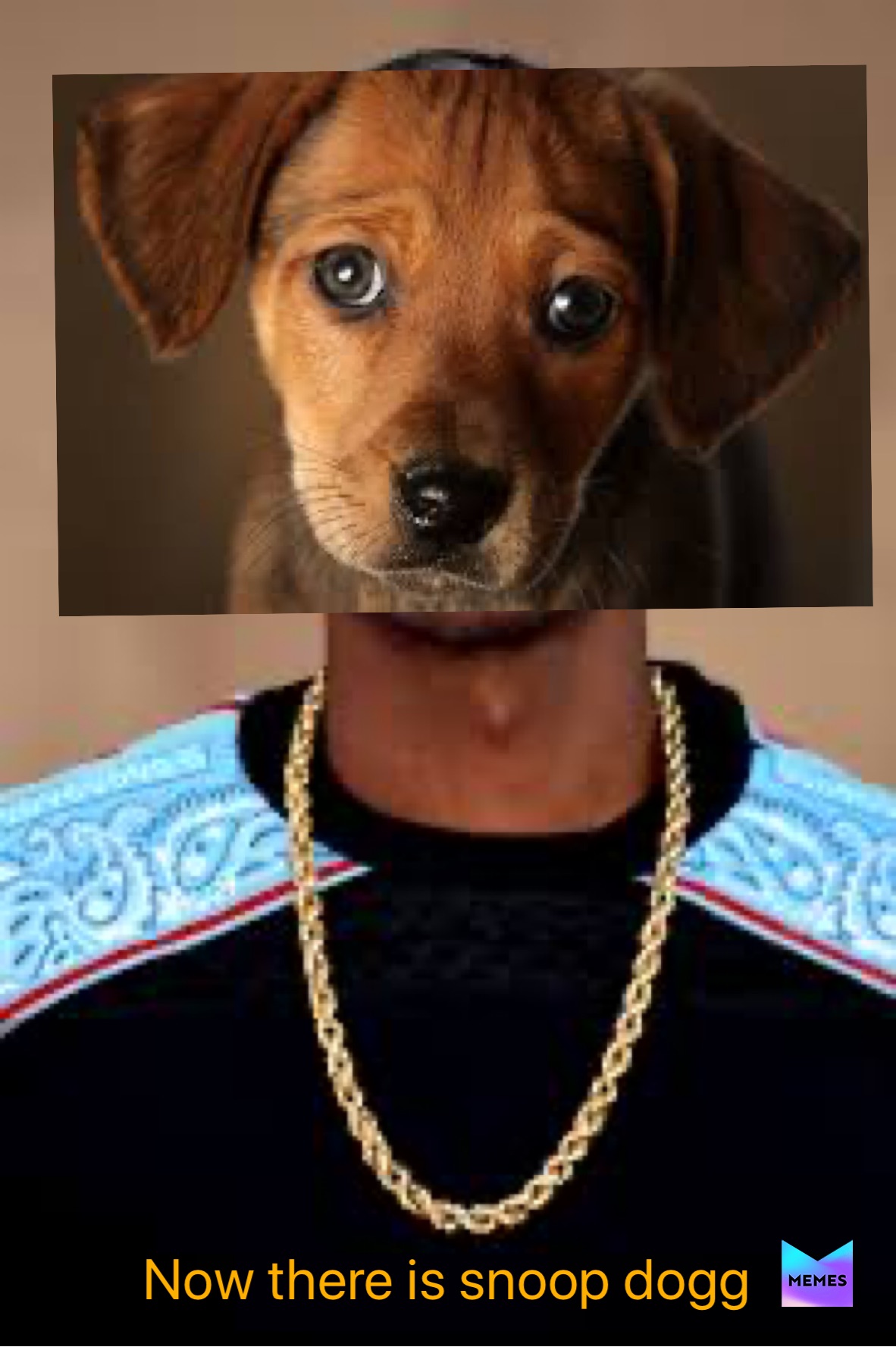 Post by @splitz_ab | Memes