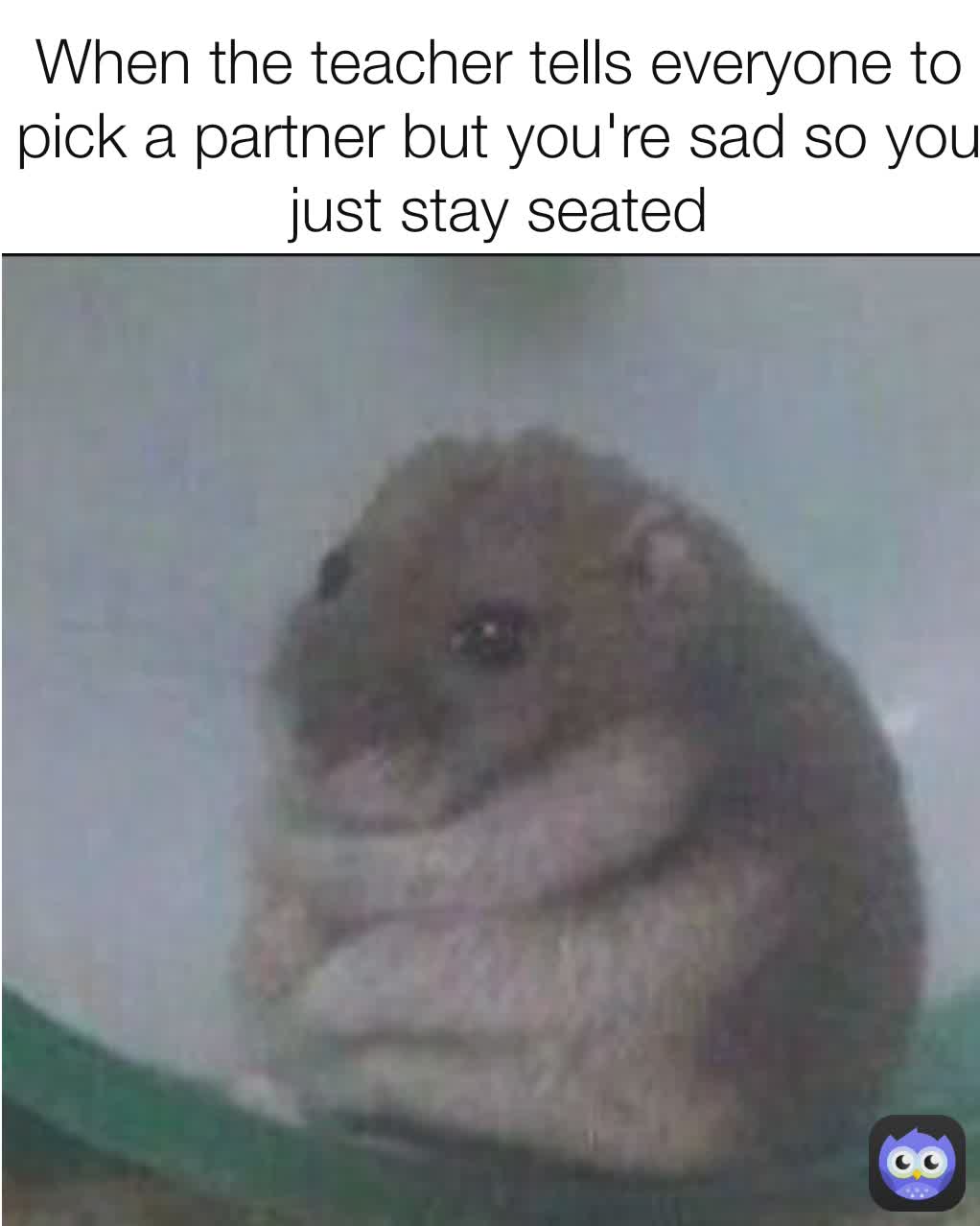 When the teacher tells everyone to pick a partner but you're sad so you ...