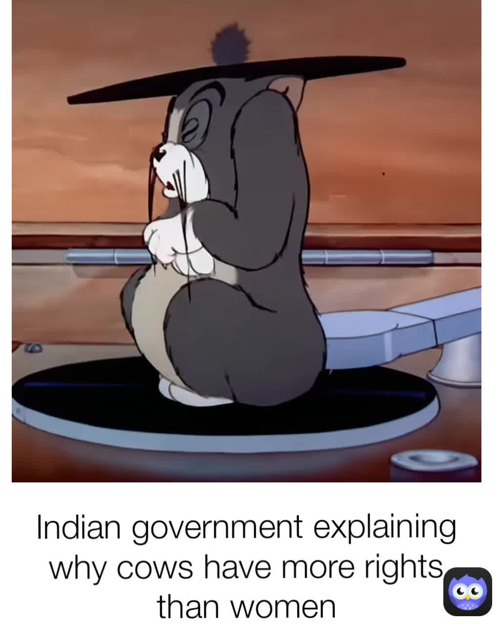 Indian government explaining why cows have more rights than women ...