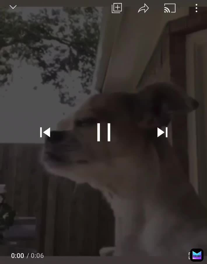 Post by @meme_nation_ent | Memes