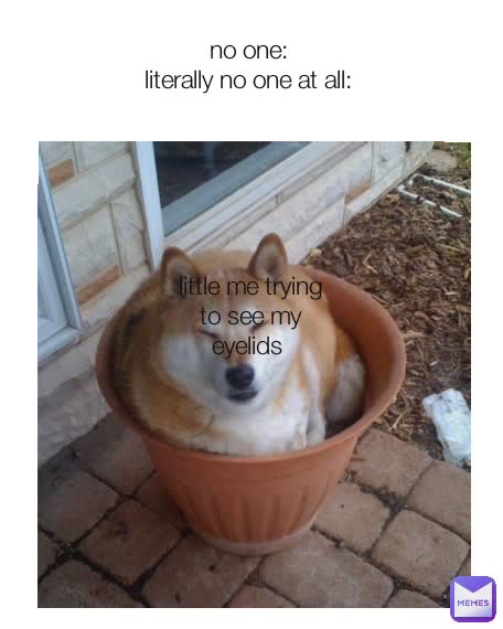 when the water temp is just right | @minsoo | Memes