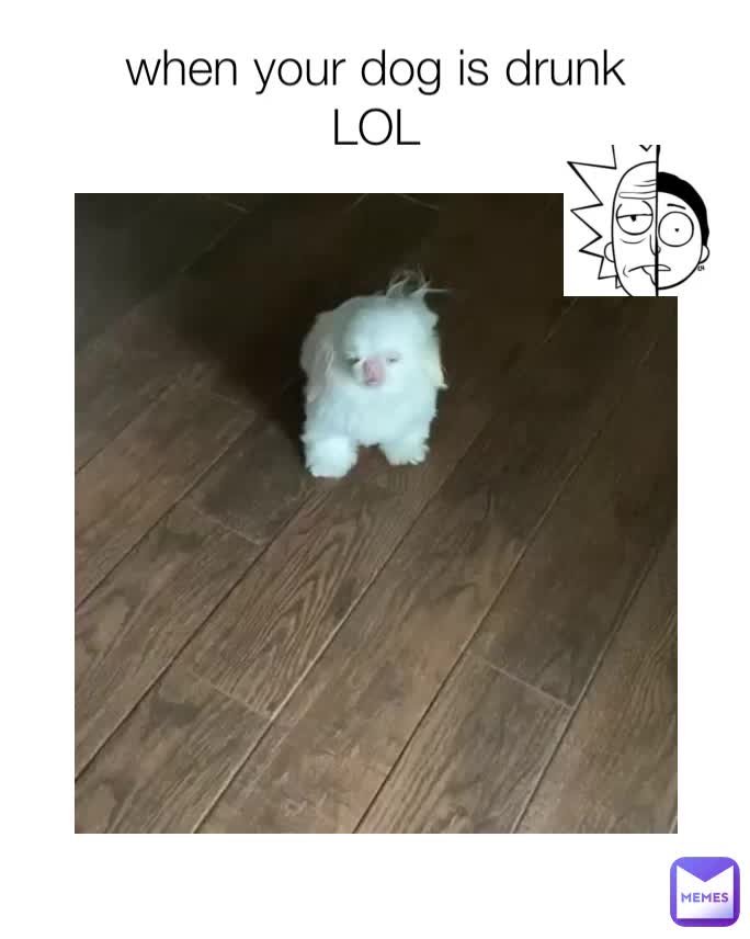 when your dog is drunk LOL | @mememaker0401 | Memes