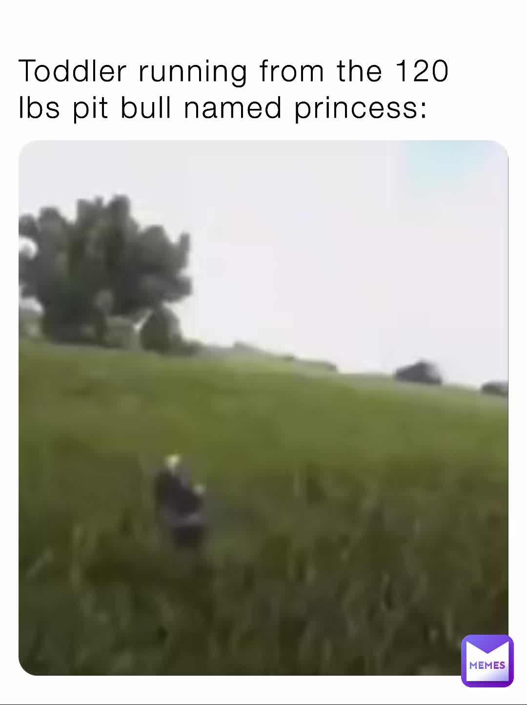 Toddler running from the 120 lbs pit bull named princess: | @Gym_Senpai ...