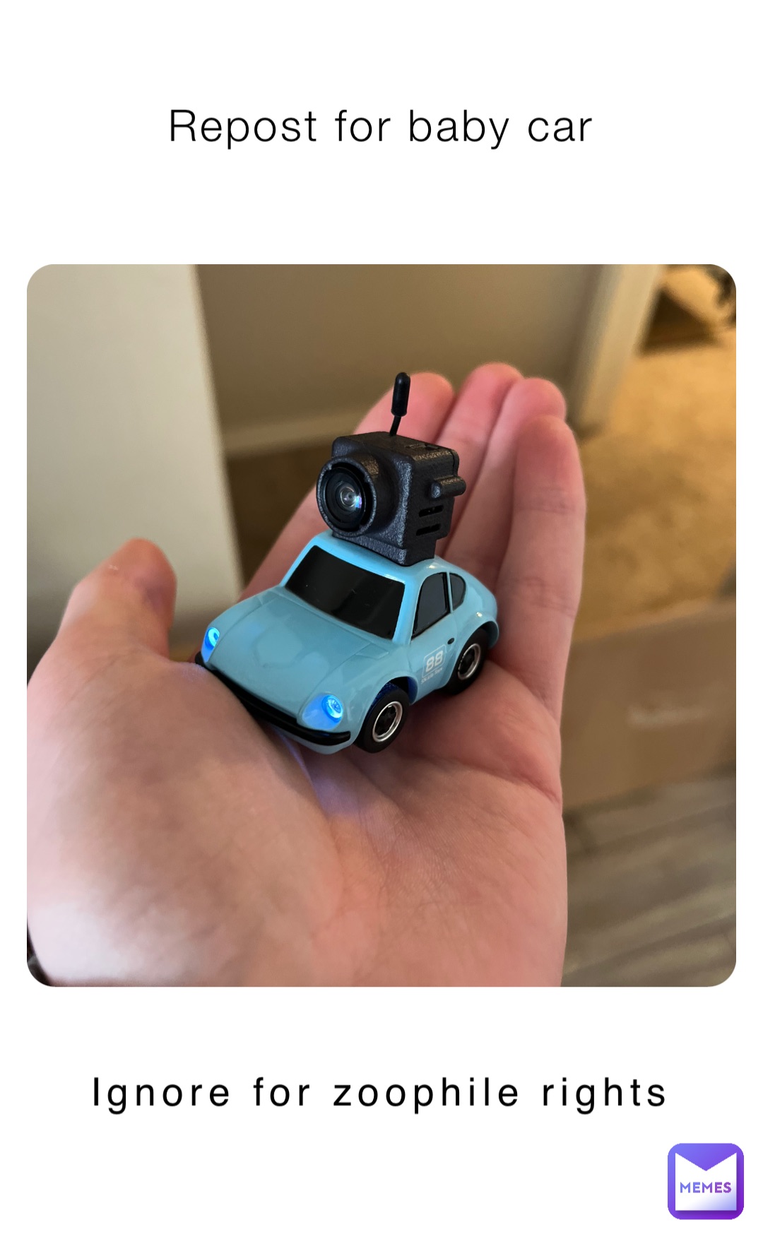 Repost for baby car Ignore for zoophile rights | @beeschurgerX | Memes