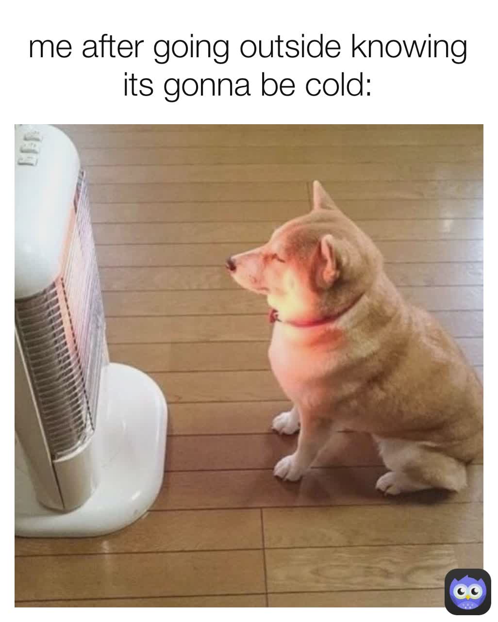 me after going outside knowing its gonna be cold: | @Kailoo | Memes