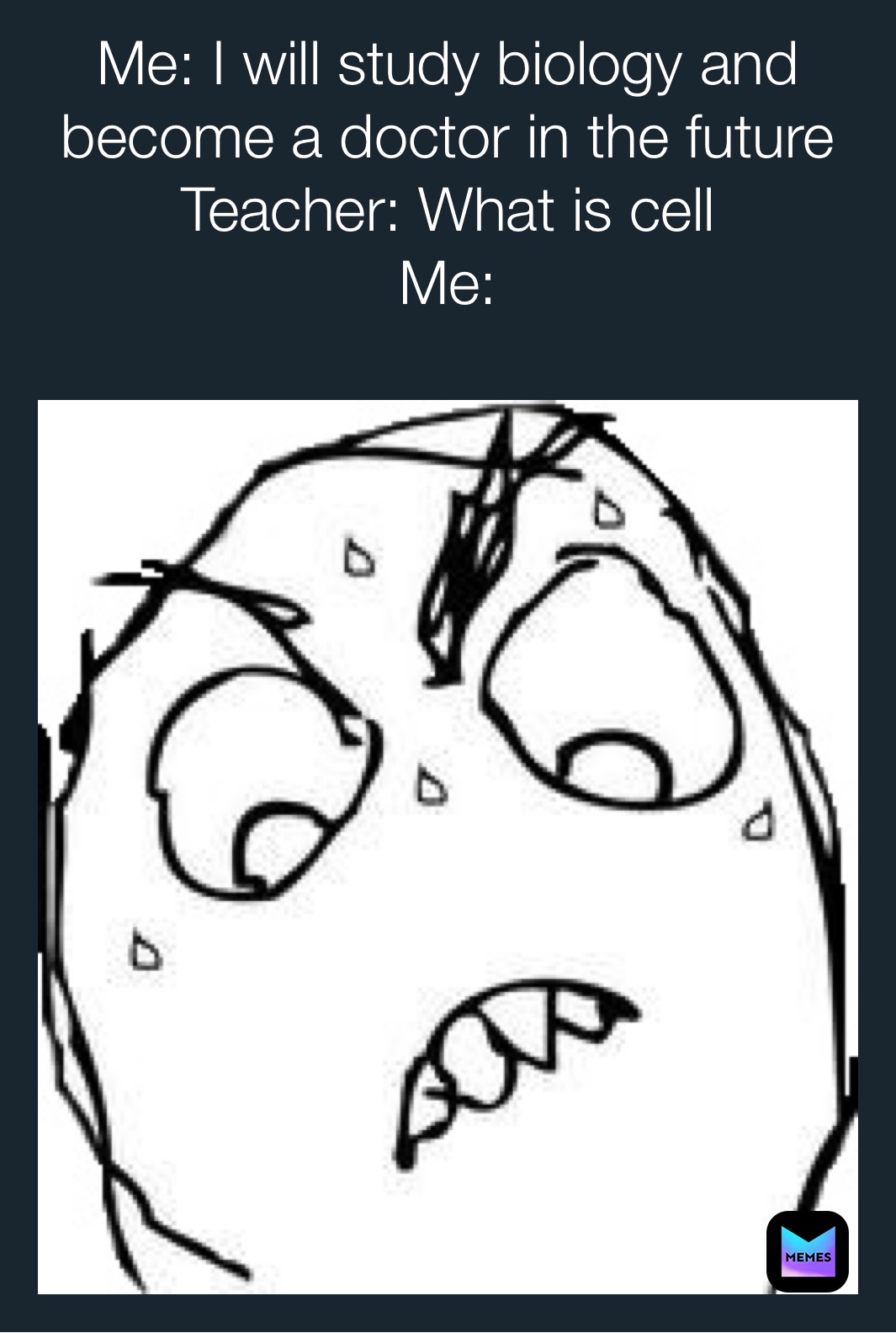 Post by @deh_doh | Memes