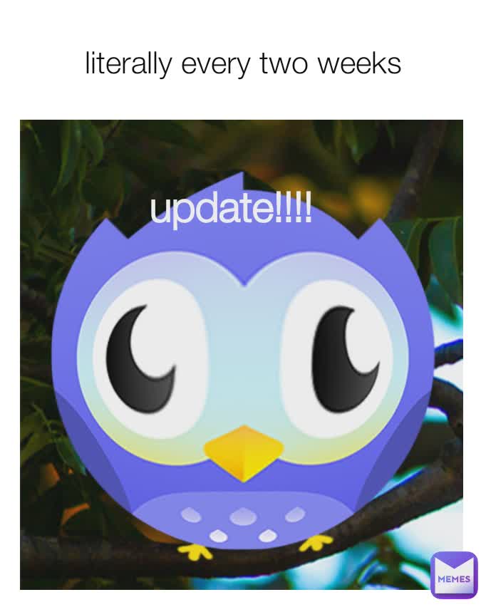literally every two weeks update!!!! | @Cardail64 | Memes