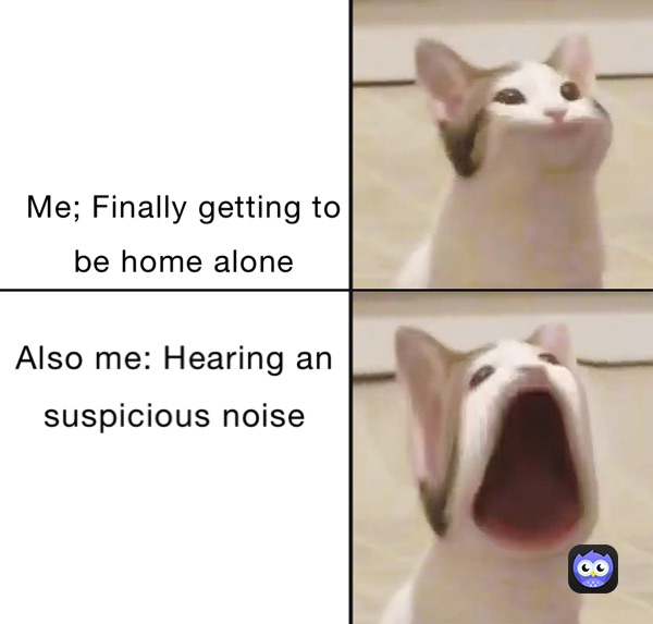 me when i realize im getting an cat | @totallyme | Memes