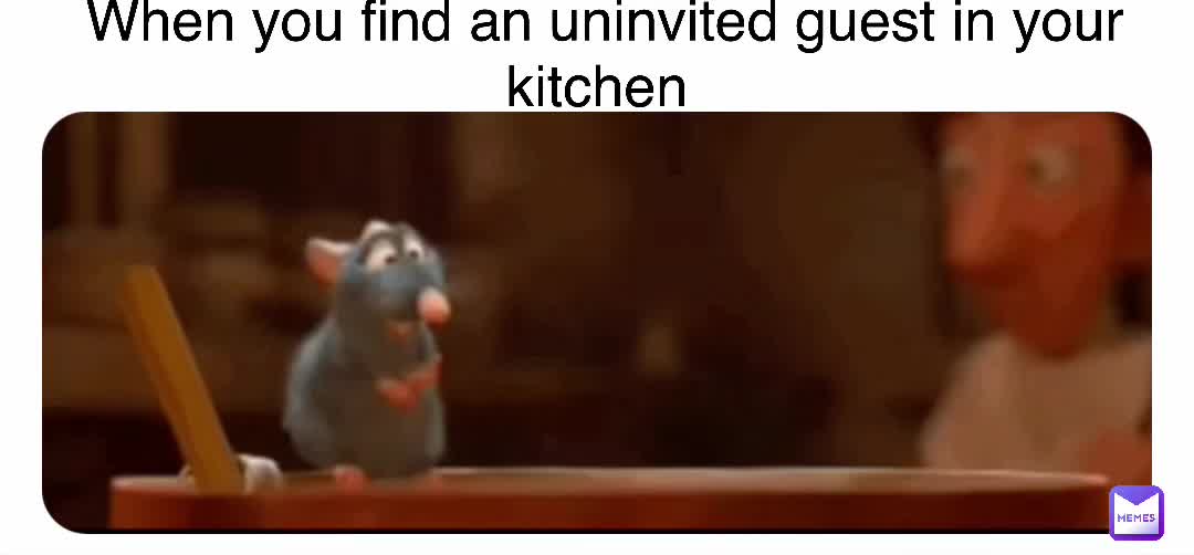 When you find an uninvited guest in your kitchen | @Thevampirelestat ...