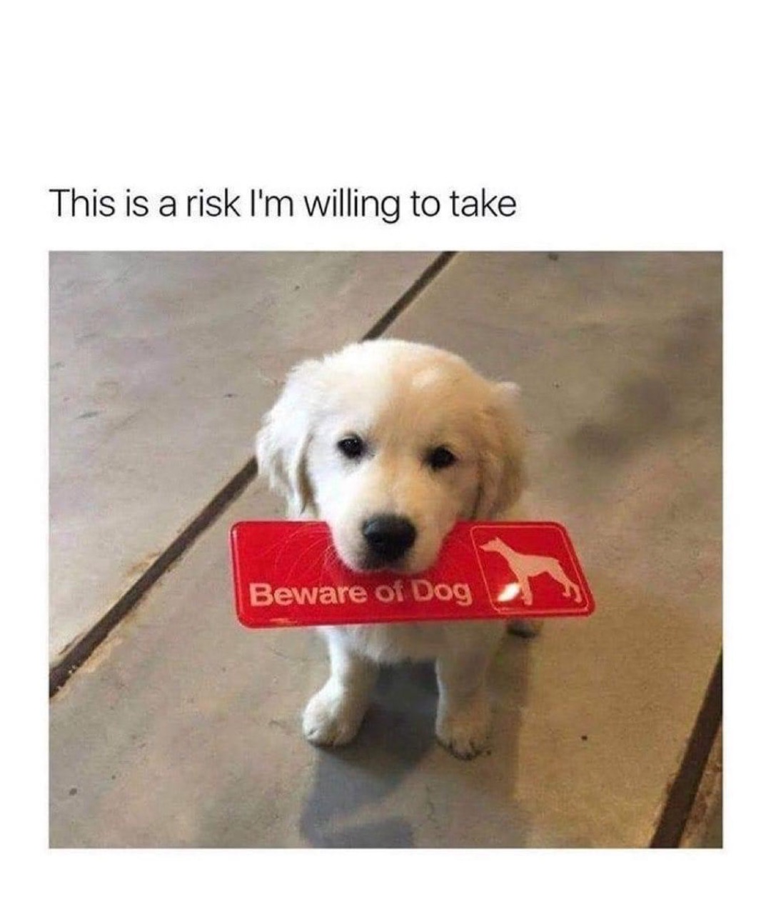 Double tap to edit | @Moooooooo.1 | Memes