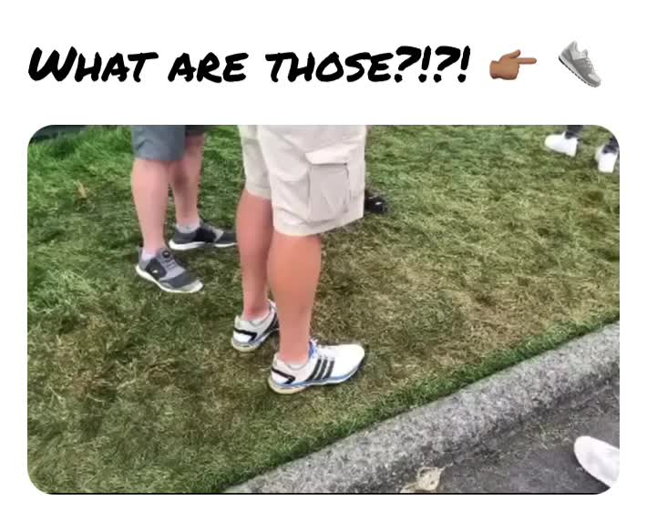 Post by @Moooooooo.1 | Memes