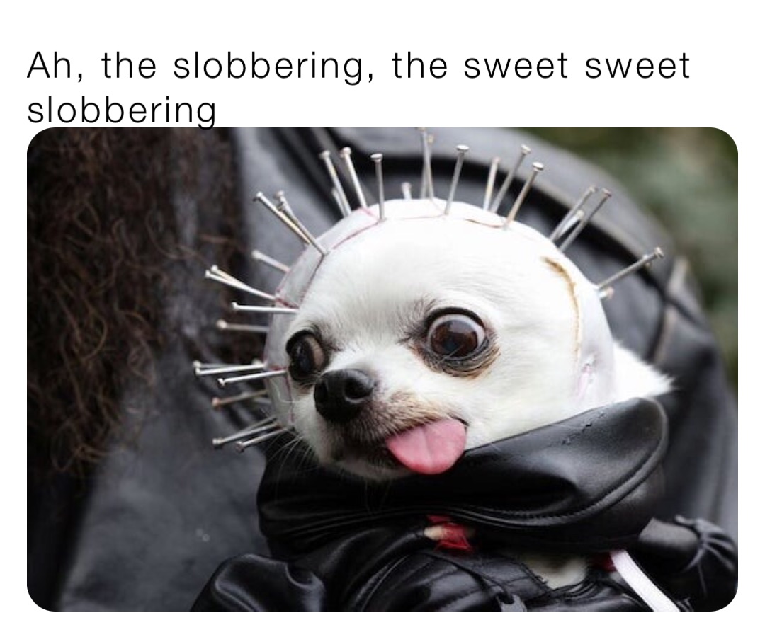 Ah, the slobbering, the sweet sweet slobbering | @petemarshal | Memes
