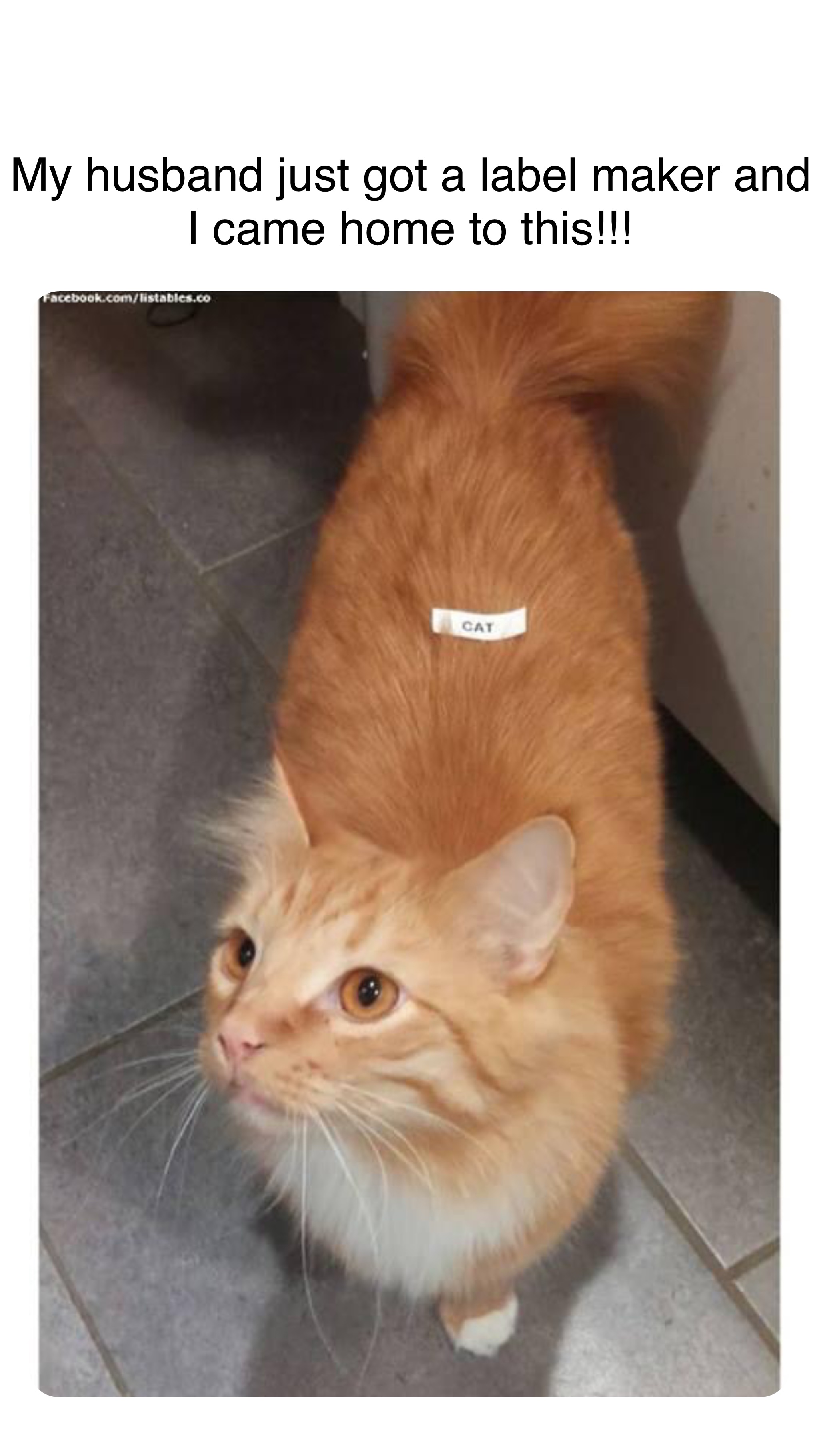 Double tap to edit My husband just got a label maker and I came home to ...