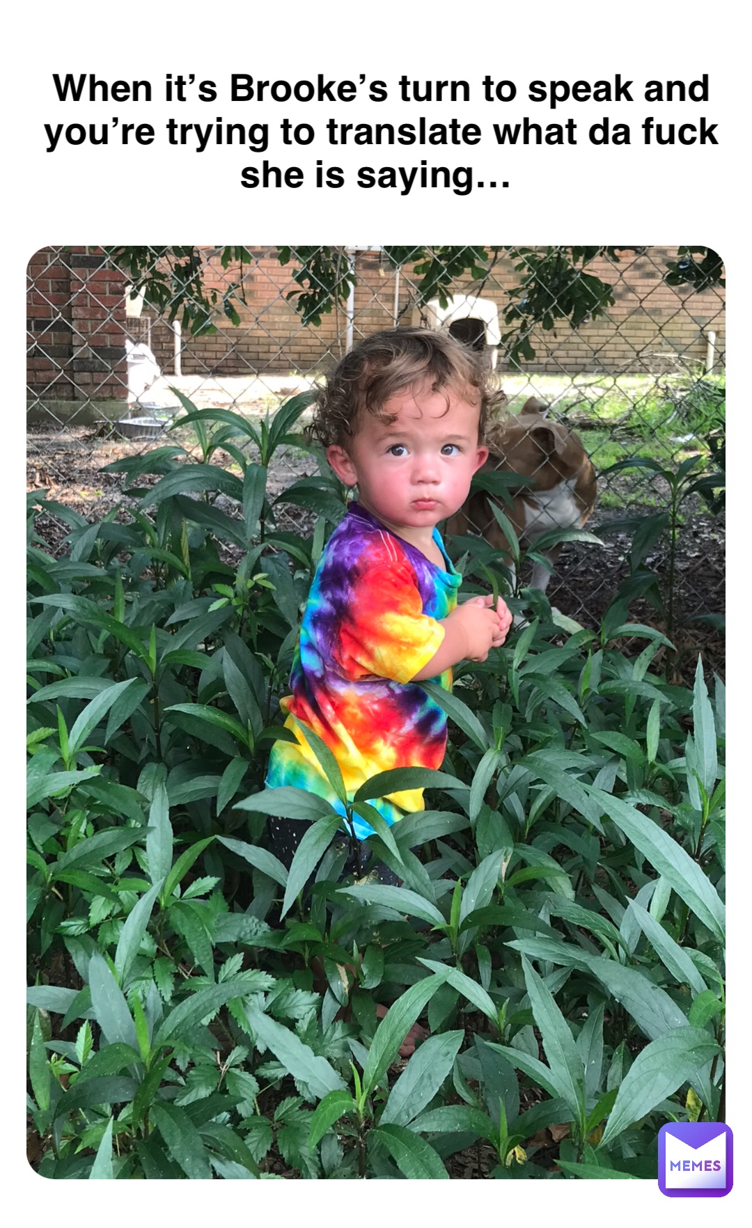 I reckon that steam table is it gonna need a hearse | @coryfazzio | Memes