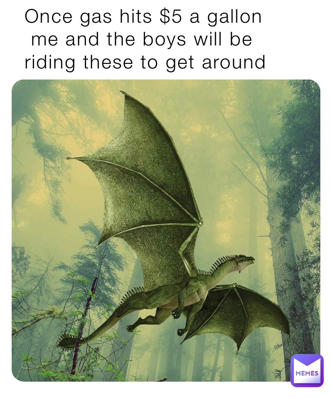 Once gas hits $5 a gallon me and the boys will be riding these to get ...