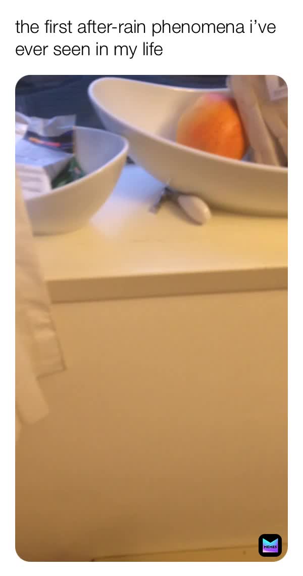 the first after-rain phenomena i’ve ever seen in my life | @two_trucks ...