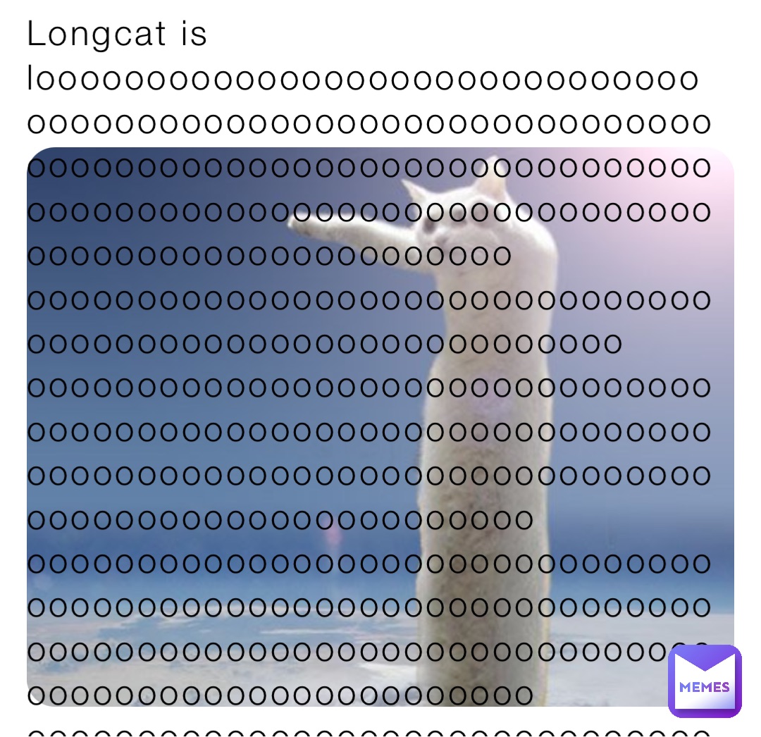 Longcat is ...