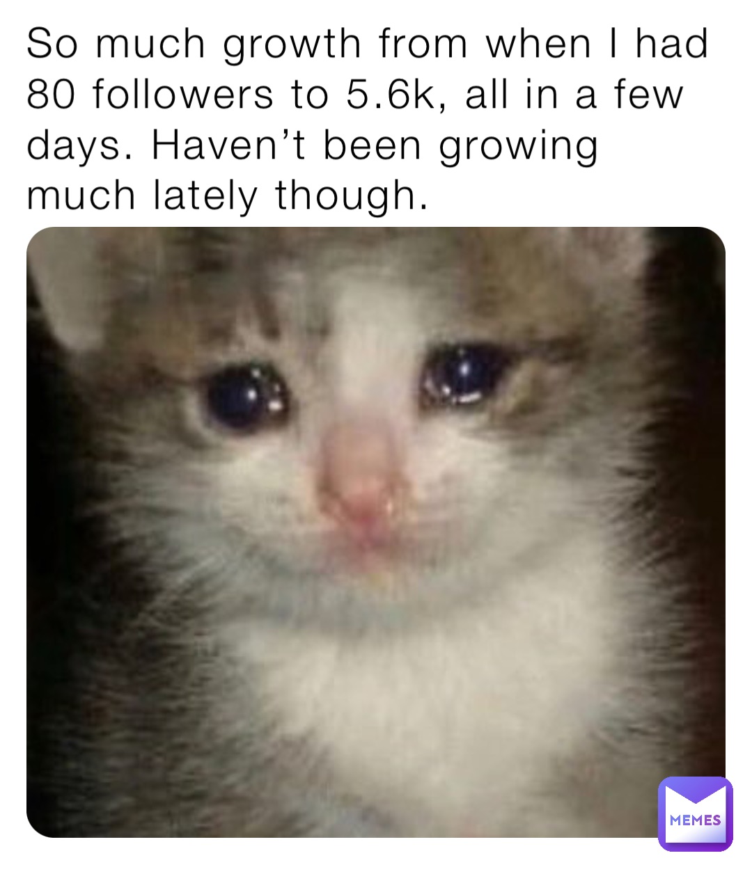 So much growth from when I had 80 followers to 5.6k, all in a few days ...