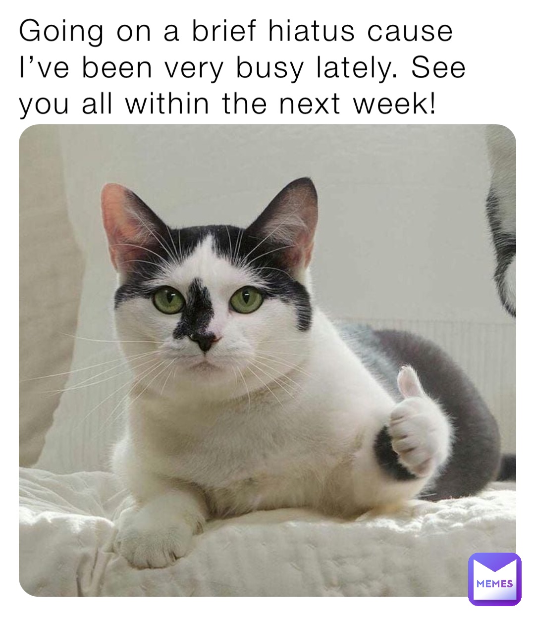 Going on a brief hiatus cause I’ve been very busy lately. See you all ...