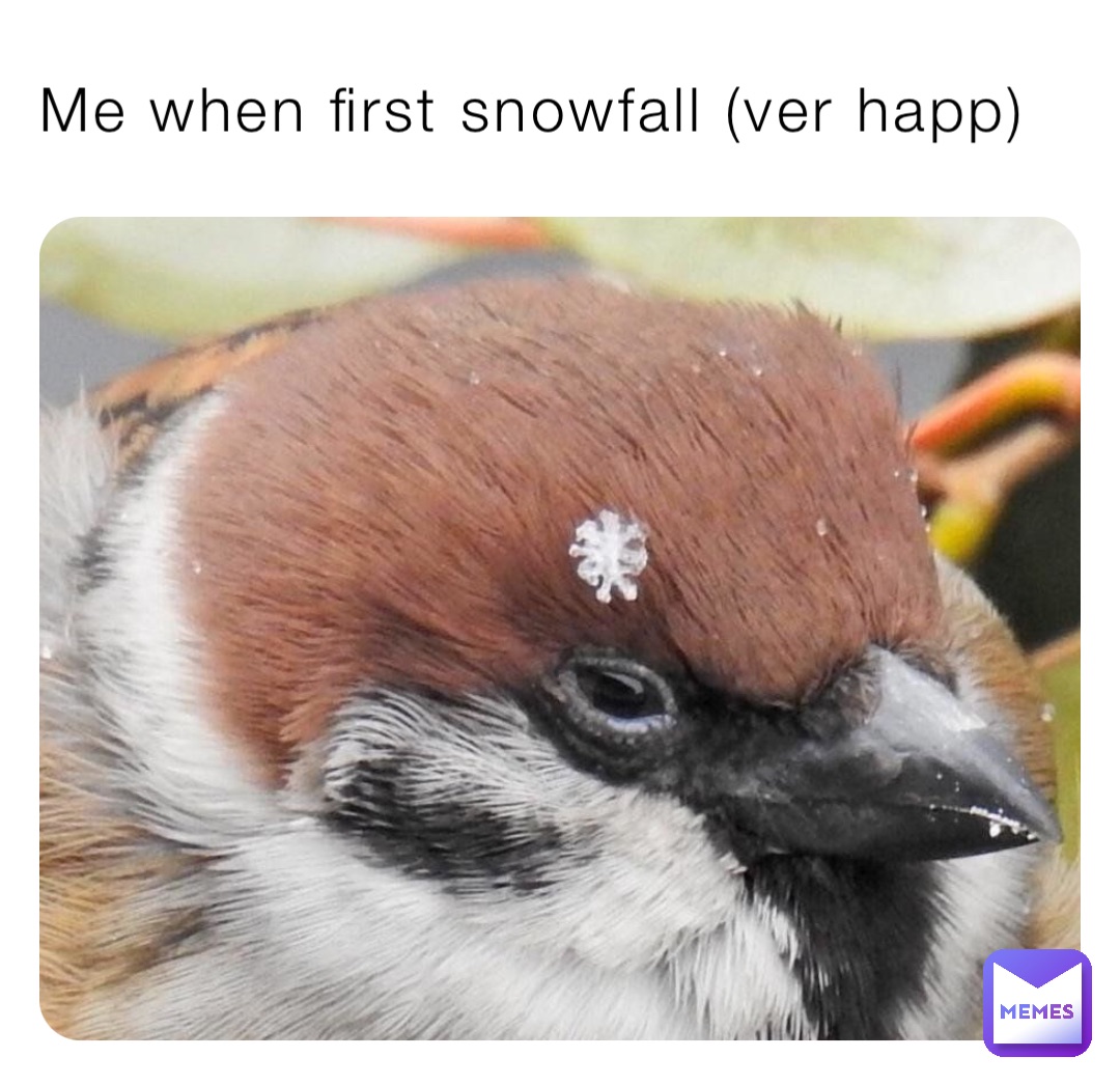Me when first snowfall (ver happ) | @ThatBasilisk | Memes
