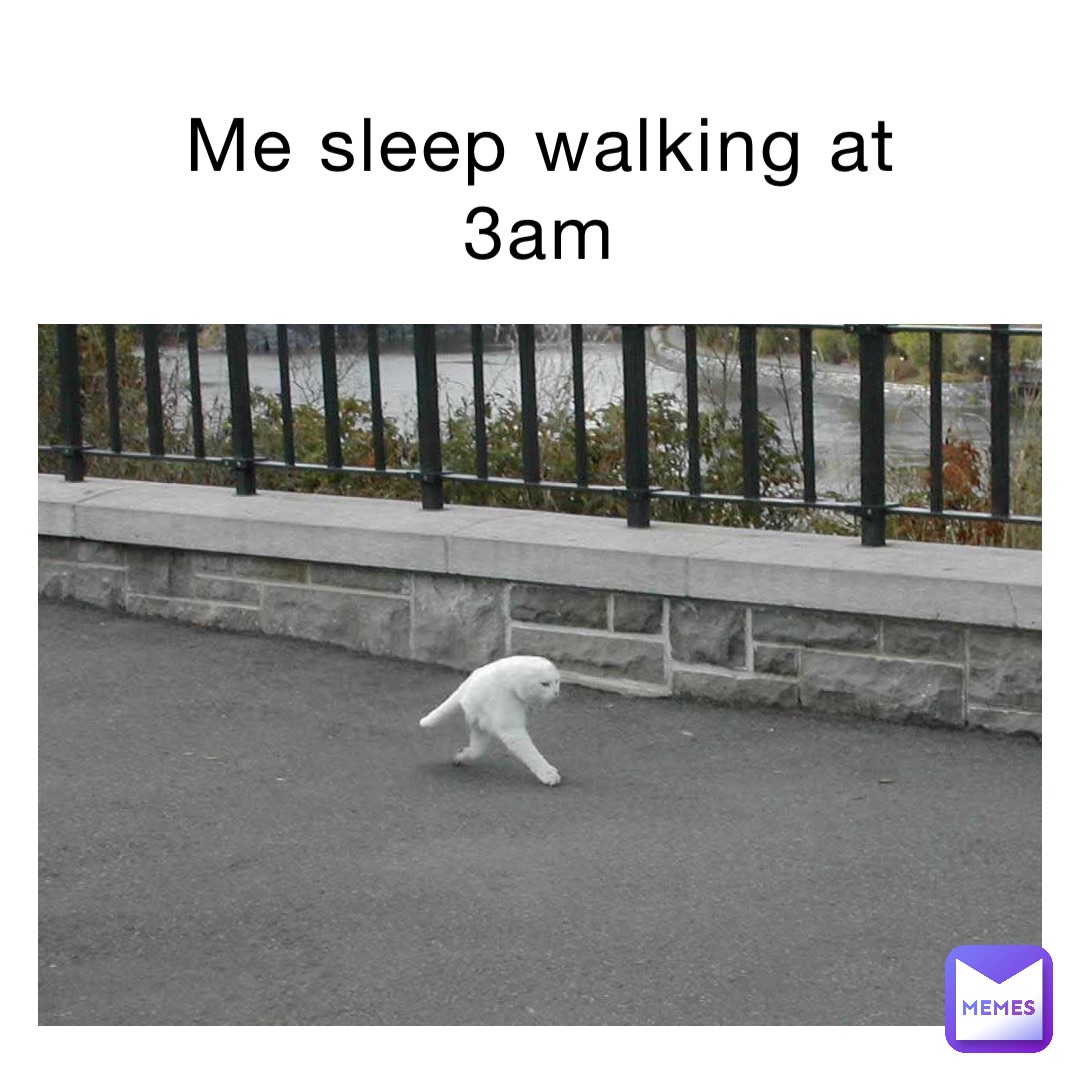 Sleep Walking Meme