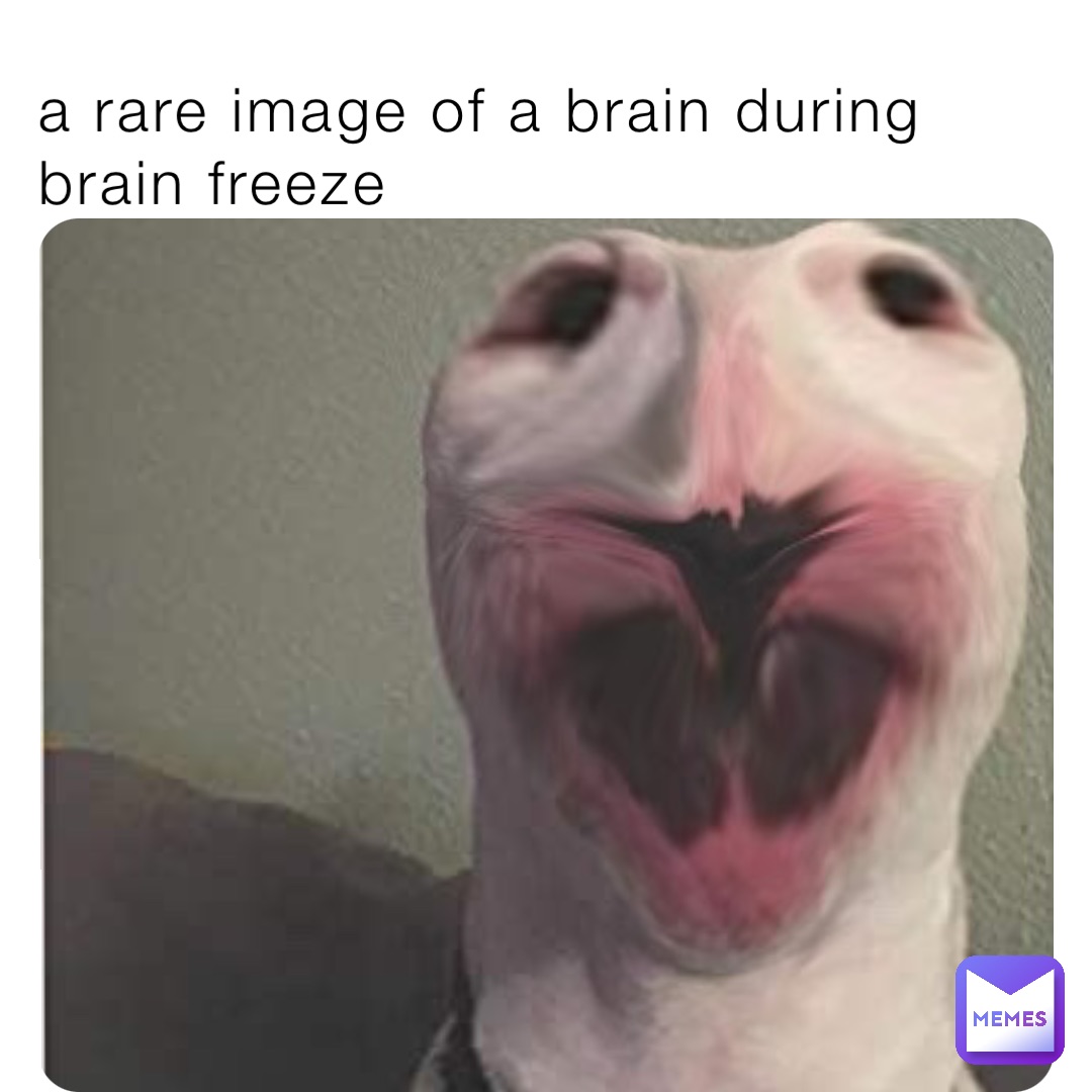 a rare image of a brain during brain freeze | @rubenblades | Memes