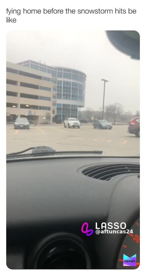 Post by @gazelle_intensity | Memes