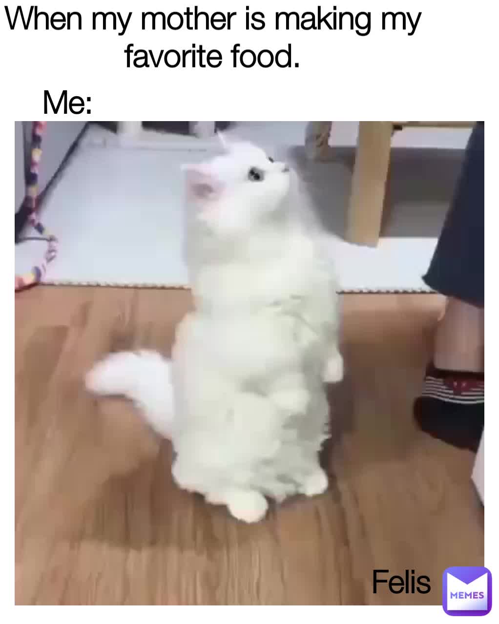 When my mother is making my favorite food. Felis Me: | @felis-catus | Memes