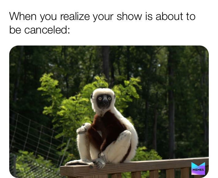 Post by @sunflower_deeno | Memes