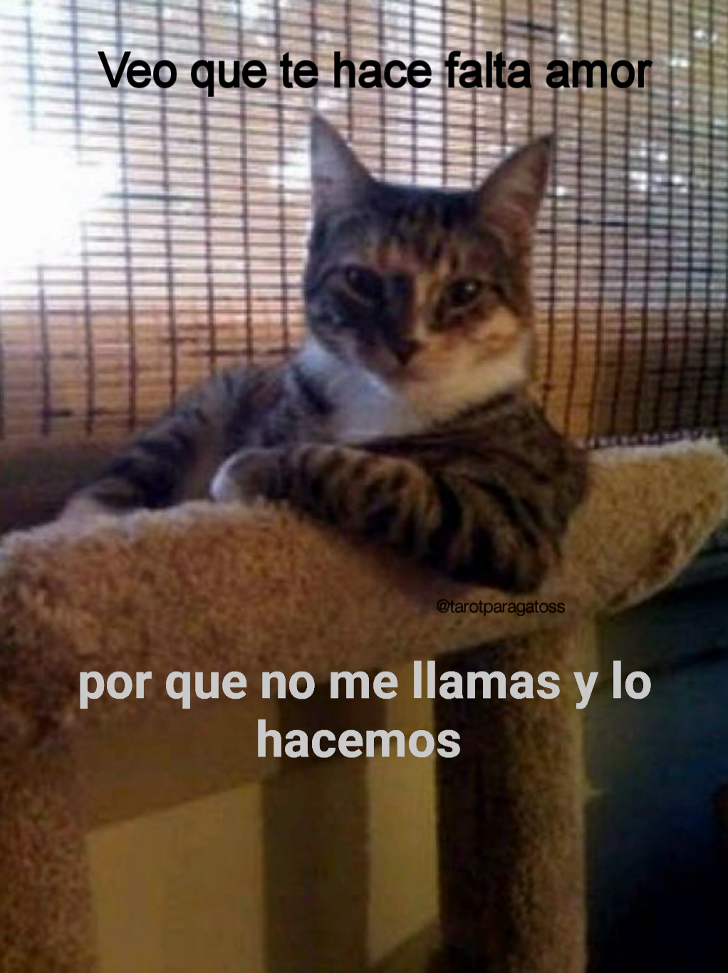 por que no me llamas y lo hacemos @tarotparagatoss Veo que te hace ...