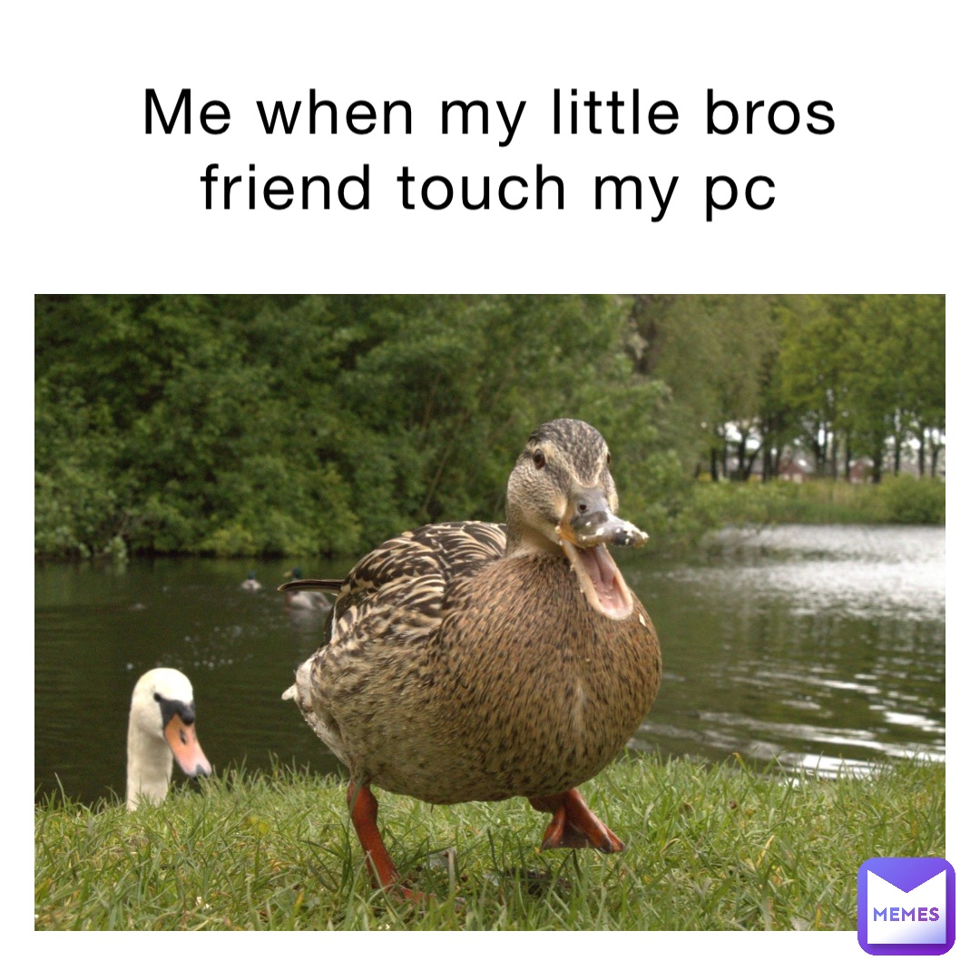 Me when my little bros friend touch my pc | @meme_xandro | Memes