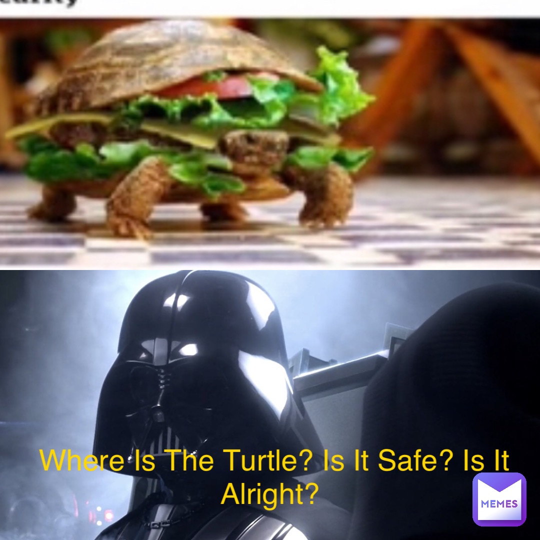 Where Is The Turtle? Is It Safe? Is It Alright? | @sleepschedule | Memes