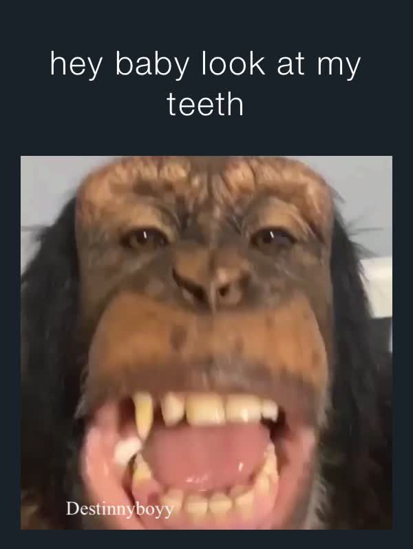 hey baby look at my teeth | @Destinnyboyy | Memes