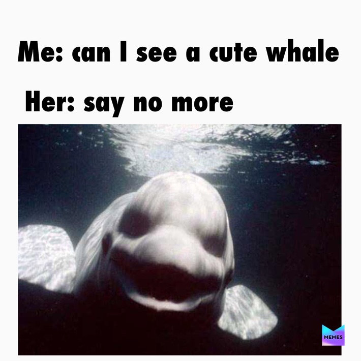 Post by @hahaha_very_funny | Memes