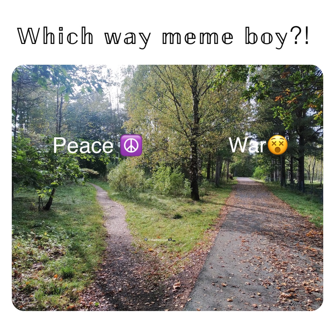 Me looking at my likes Me looking at my follower count | @memelooter ...