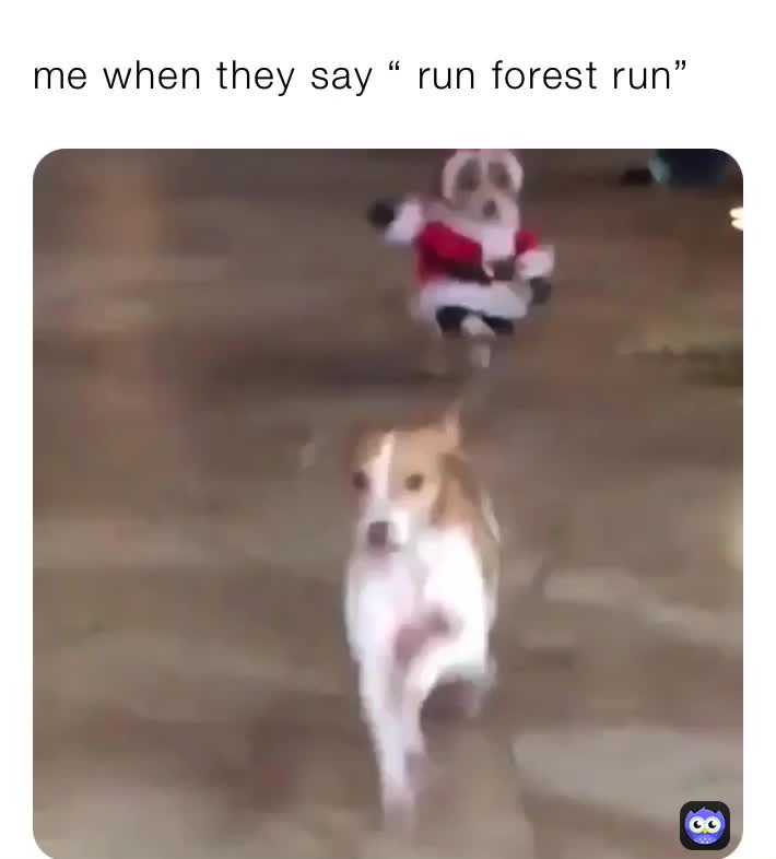 me when they say “ run forest run” me when they say “ run forest run ...