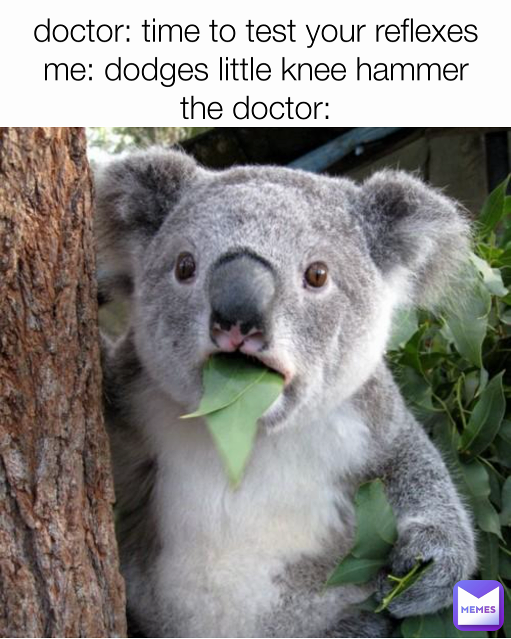 doctor: time to test your reflexes me: dodges little knee hammer the ...