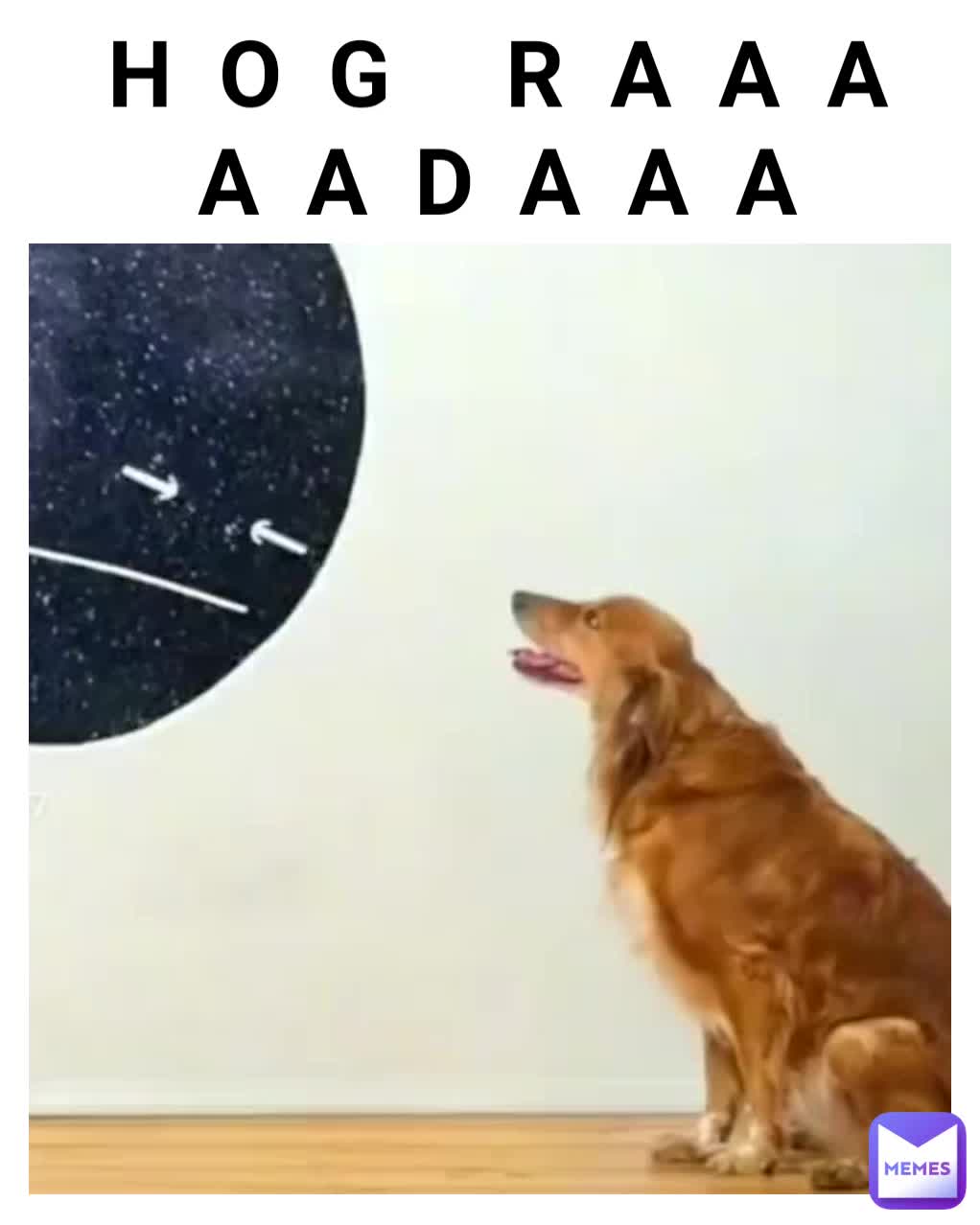 HOG RAAAAADAAA | @ItzRR900Cyt | Memes